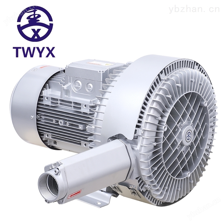 RB-82S-1 旋涡式高压气泵-仪表网